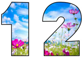 SPRING THEMED DISPLAY LETTERING- LETTERS, NUMBERS, PUNCTUATION- SEASONS ...