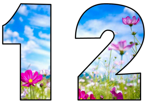 SPRING THEMED DISPLAY LETTERING- LETTERS, NUMBERS, PUNCTUATION- SEASONS ...
