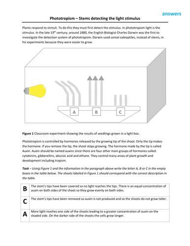 Chemical coordination in plants - 3 worksheets + starter - Tropisms ...