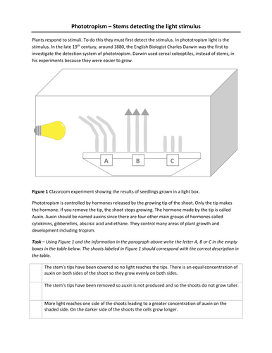 Chemical coordination in plants - 3 worksheets + starter - Tropisms ...