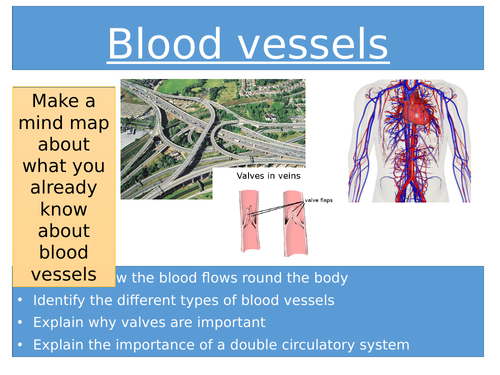 Blood Vessels New AQA Spec | Teaching Resources