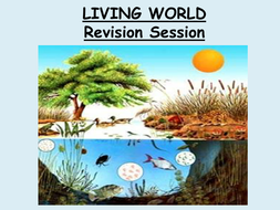 GCSE LIVING WORLD REVISION SESSION, HUGE LESSON & RESOURCES | Teaching ...