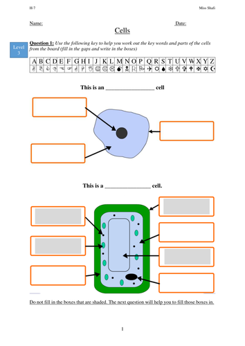 KS3 Cells worksheet | Teaching Resources