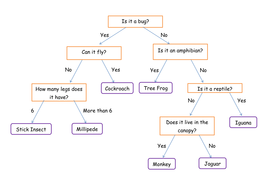 Animal Identification Keys Year 4 | Teaching Resources