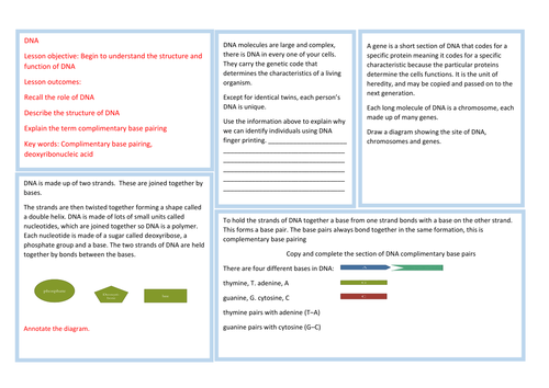 DNA learning mat GCSE biology - science | Teaching Resources