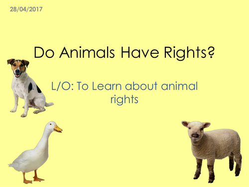 Animal rights Year 7 | Teaching Resources