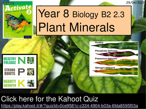 A Year 8 Kahoot Quiz on Plant Minerals for the Activate Science B2 2.3 ...