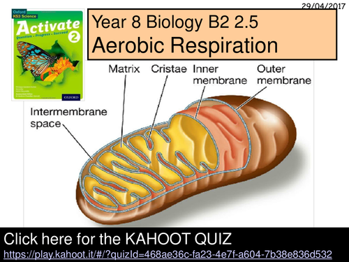 A Year 8 Kahoot Quiz on Aerobic Respiration for the Activate Science B2 ...