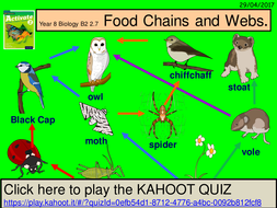 A Year 8 Kahoot Quiz on Food Chains and Food webs for the Activate ...