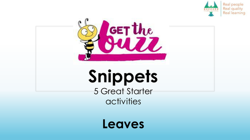 Problem solving with leaves - place value | Teaching Resources