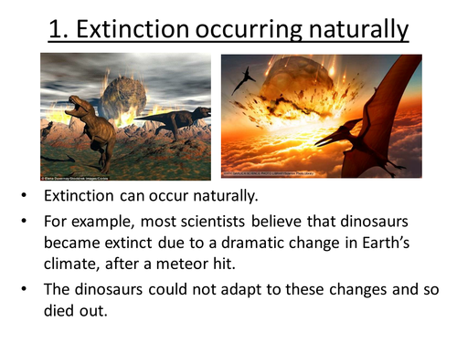 Extinction - complete lesson (KS3) | Teaching Resources