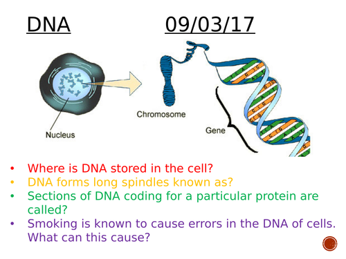 DNA - complete lesson (GCSE 1-9) | Teaching Resources