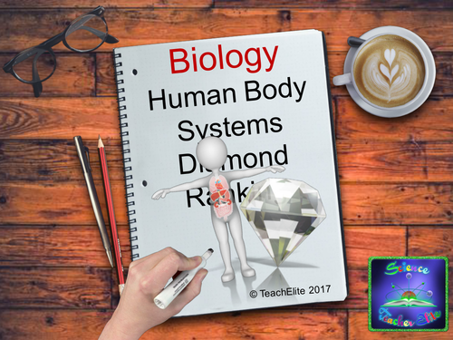 Human Body Systems Diamond Ranking Activity | Teaching Resources