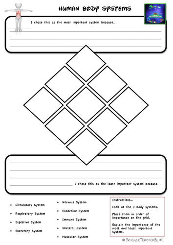 Human Body Systems Diamond Ranking Activity | Teaching Resources