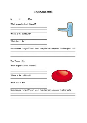 Specialised Cells | Teaching Resources