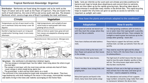 AQA 9-1 GCSE: How have Plants and Animals Adapted to the Rainforest ...