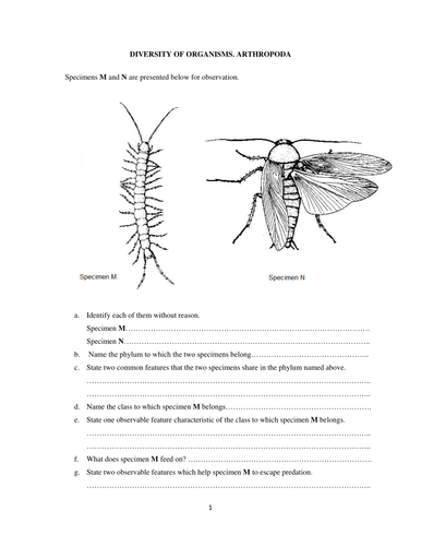 DIVERSITY OF ORGANISMS. ARTHROPODA | Teaching Resources