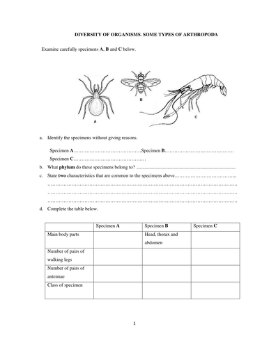 DIVERSITY OF ORGANISMS. SOME TYPES OF ARTHROPODS | Teaching Resources