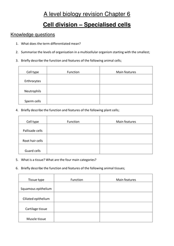 A level Biology OCR Chapter 6 Cell Division revision homework sheets ...