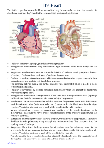Heart Notes | Teaching Resources