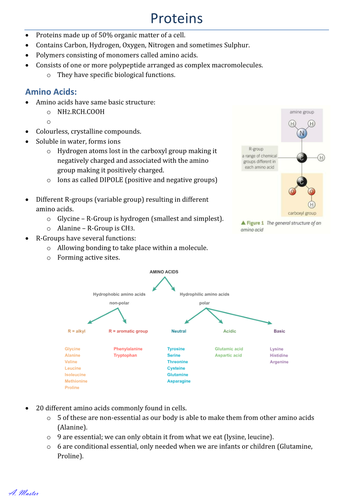 Protein Notes | Teaching Resources