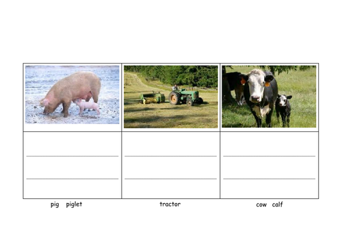 The Journey of Milk and Labelling Farm Animals | Teaching Resources The Journey of Milk and Labelling Farm Animals | Teaching Resources