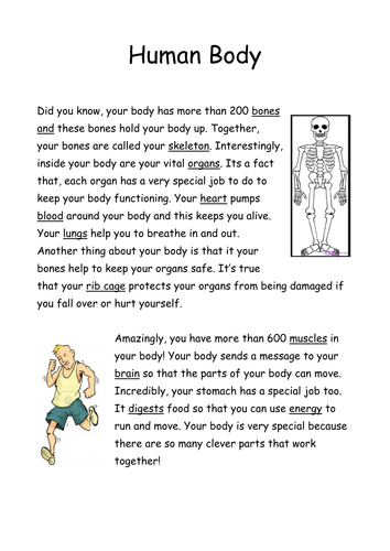 Human Body Information Text | Teaching Resources