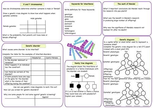 Gcse Biology Inheritance Genetic Inheritance Questions And Revision