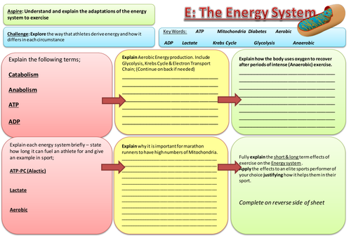 Btec Sport 2016 - NEW SPEC - Unit 1 - Section E - Energy Systems ...