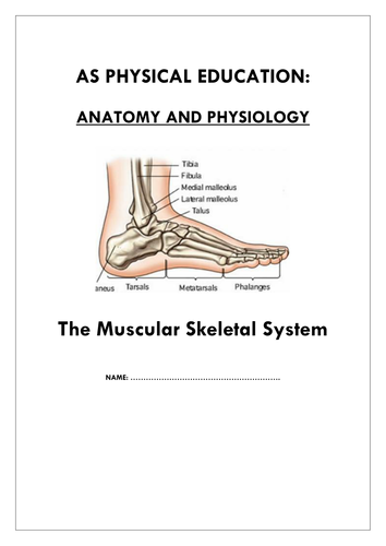 AS PE Edexcel NEW SPEC - Skeleton, Muscles and Movement Analysis ...