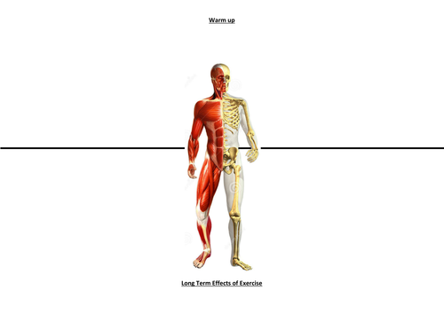 AS PE Edexcel NEW SPEC - Skeleton, Muscles and Movement Analysis ...