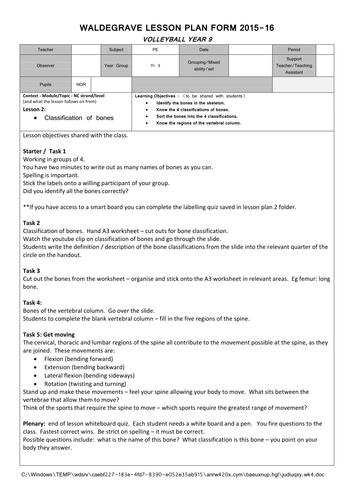 GCSE PE Edexcel NEW SPEC - Classification of Bones | Teaching Resources