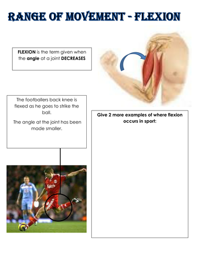 AQA GCSE PE (2016 specification) Anatomy & physiology - The Musco ...