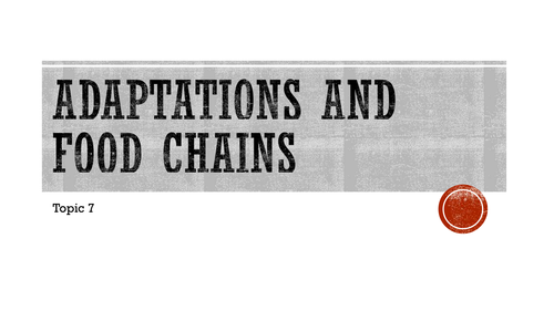 Adaptations and Food Chain New AQA GCSE Full Lesson | Teaching Resources