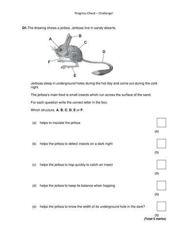 Adaptations and Food Chain New AQA GCSE Full Lesson | Teaching Resources