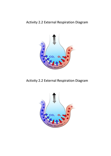 Btec Level 3 Sport 2016 New Specification Unit 1 Learning Aims C And D Teaching Resources
