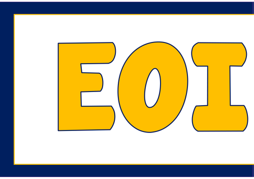 EOIN COLFER TEACHING AND DISPLAY RESOURCES ENGLISH READING KS2 AUTHOR ...