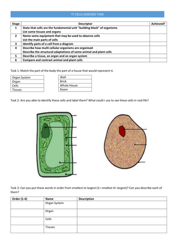 Y7 Cells Assessed Task NEW KS3 | Teaching Resources