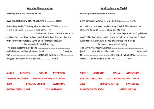 Working Memory Model Activities & Evaluation | Teaching Resources