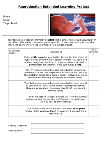 Y7 Homework Projects Science | Teaching Resources
