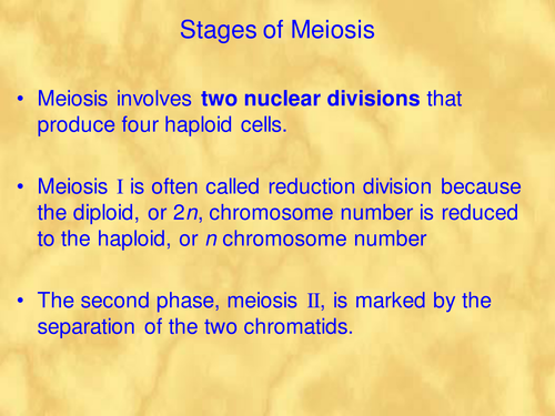 Meiosis & Crossing-over | Teaching Resources