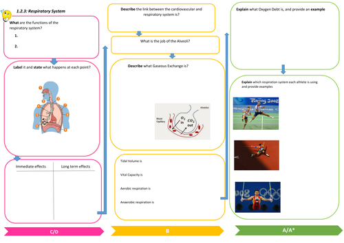 Respiratory System Revision Learning Mat | Teaching Resources