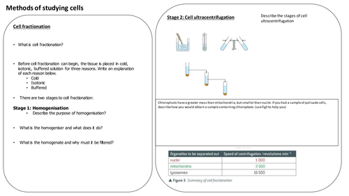 AQA A level cells revision (Cells, organelles, microscopy) new ...
