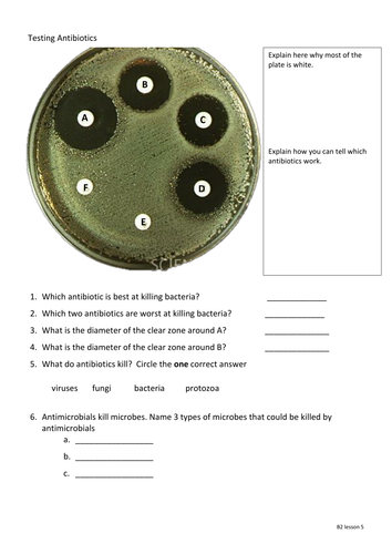 antibiotics and antibiotic resistance | Teaching Resources