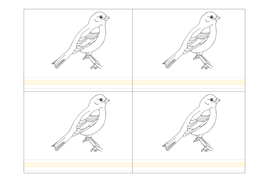Montessori Nomenclature Cards: Parts of a Bird | Teaching Resources