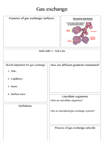 Biology Edexcel new Alevel (SNAB), Topic 2 - Genes and Health - summary ...