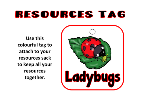 LADYBUGS LIFE CYCLE TEACHING RESOURCES SCIENCE INSECTS MINIBEASTS ...