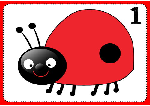 LADYBUGS LIFE CYCLE TEACHING RESOURCES SCIENCE INSECTS MINIBEASTS ...