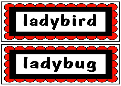 LADYBUGS LIFE CYCLE TEACHING RESOURCES SCIENCE INSECTS MINIBEASTS ...