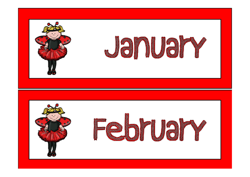 LADYBUGS LIFE CYCLE TEACHING RESOURCES SCIENCE INSECTS MINIBEASTS ...